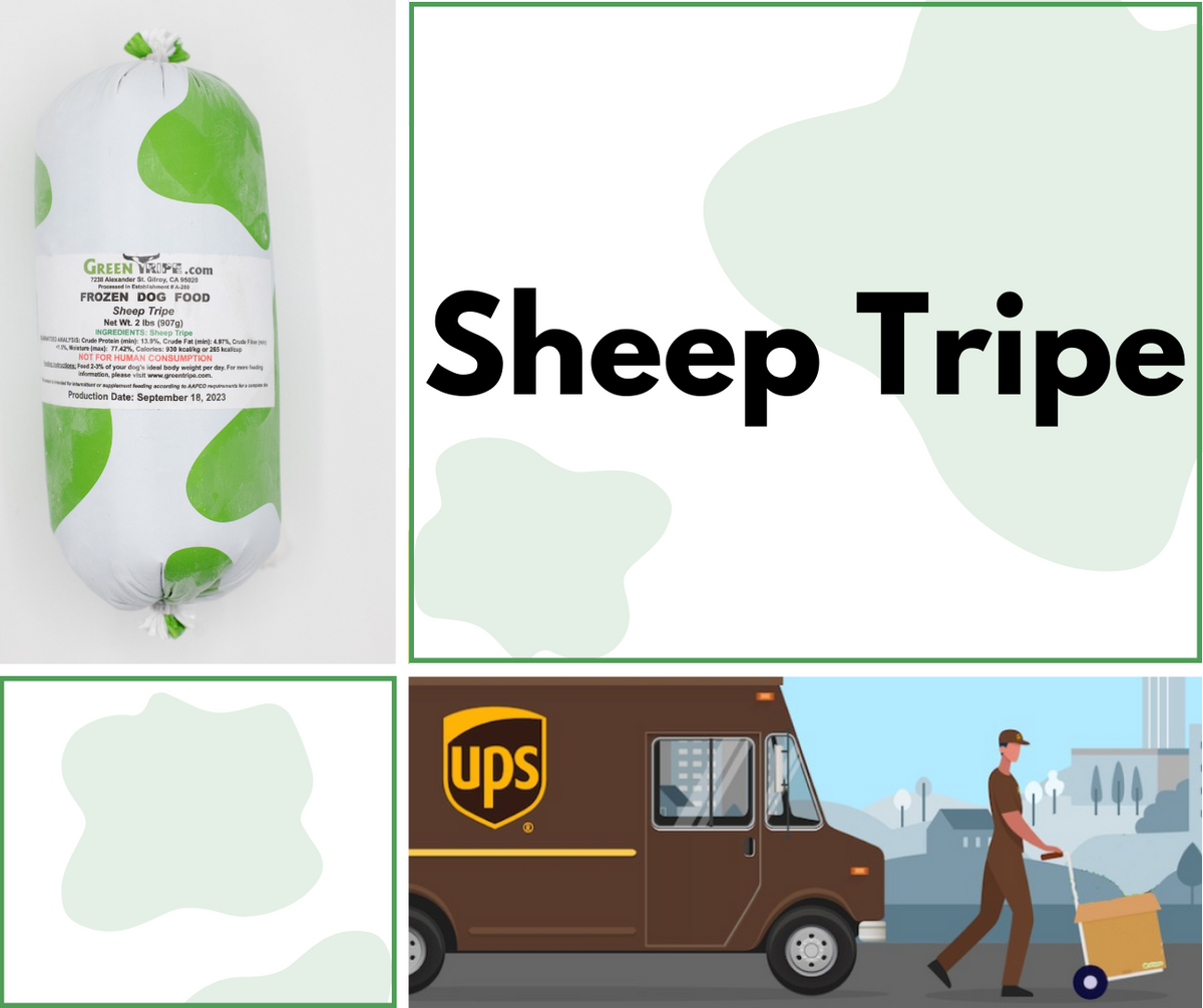 Have Sheep Tripe Delivered to Your Door | GreenTripe.com