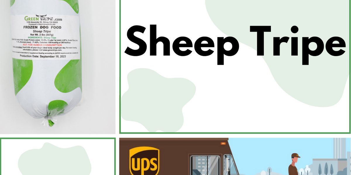 Have Sheep Tripe Delivered to Your Door | GreenTripe.com